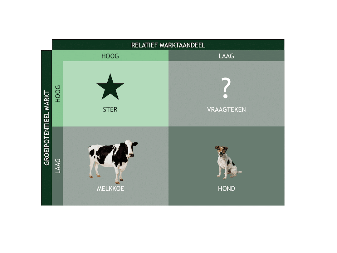 Marktpositie en ambitie - Marketingscan.nl
