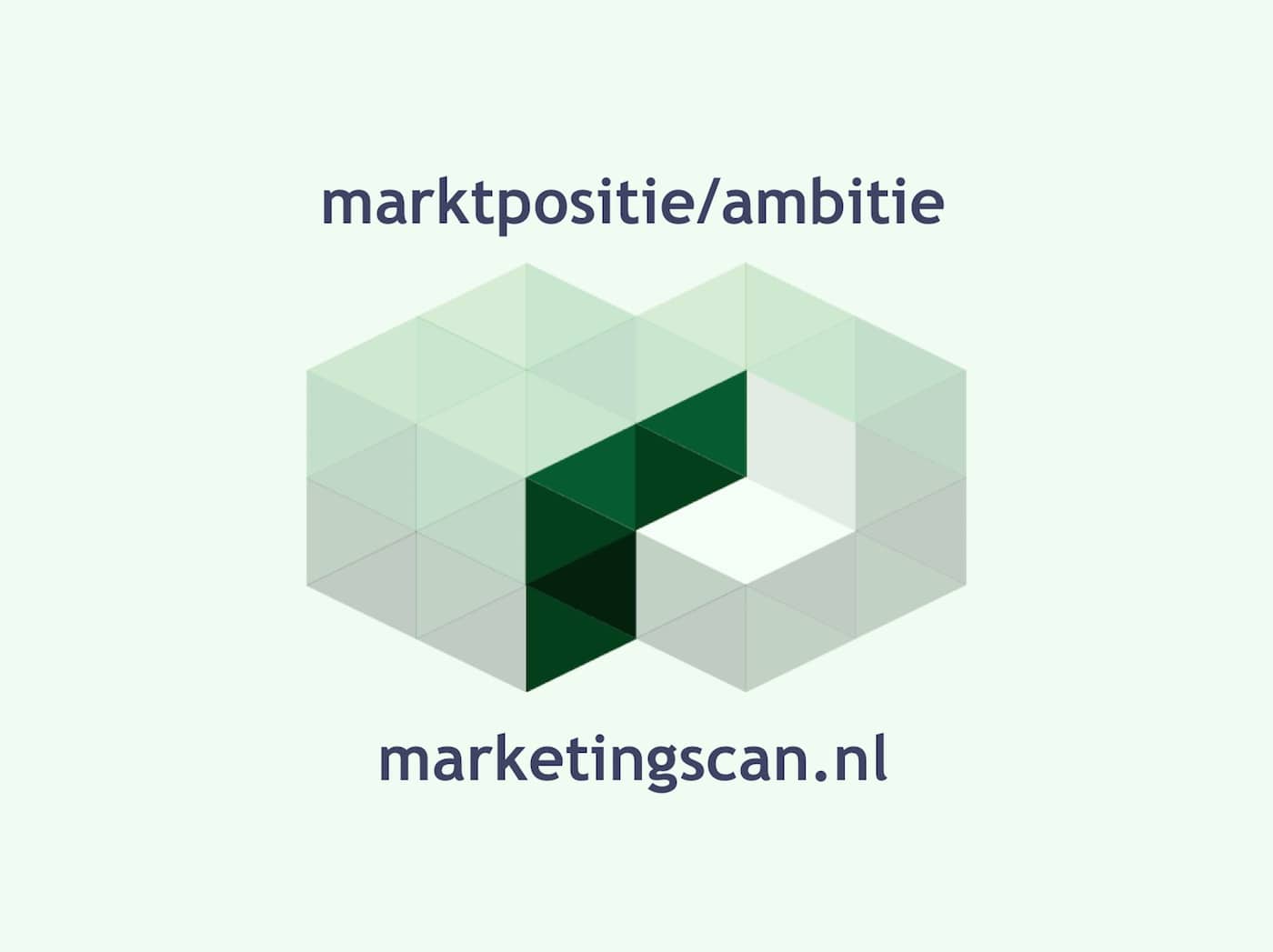 Marktpositie en ambitie - Marketingscan.nl